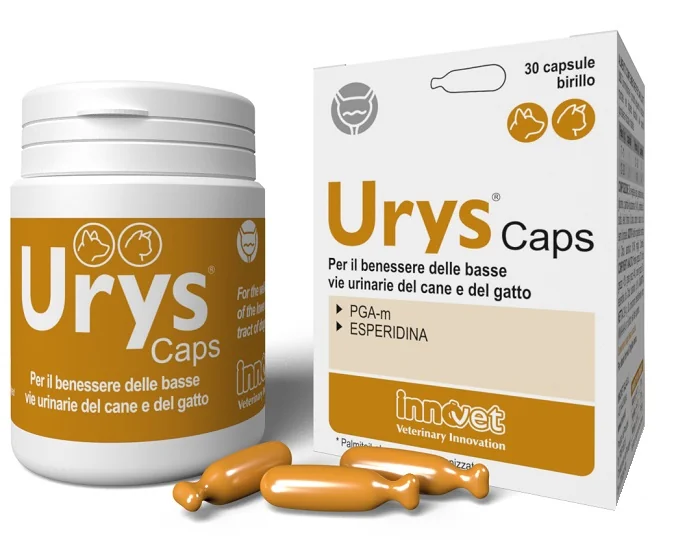 Urys Caps: integratore vie urinarie cani e gatti 30 capsule | Dr. Max
